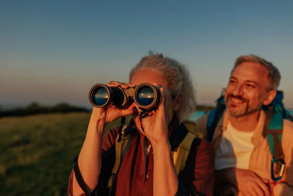 An Overview of Asset Transfer Strategies | TVAMP